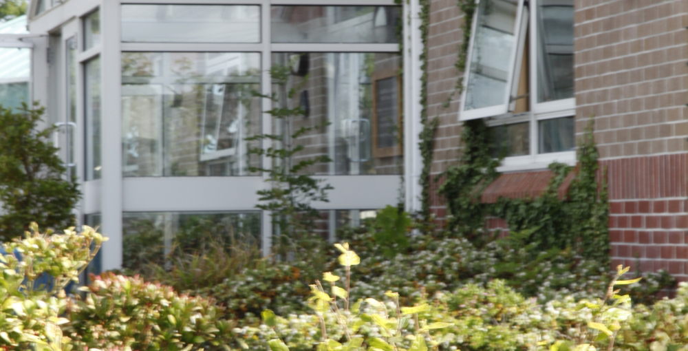 English and Drama - Wadebridge School, Cornwall